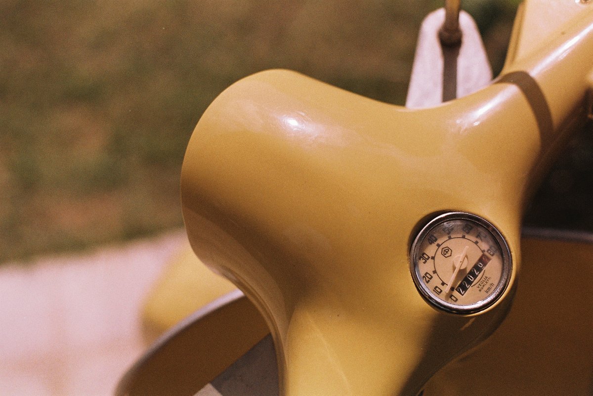 #25317604 — modern_nmt · Lomography