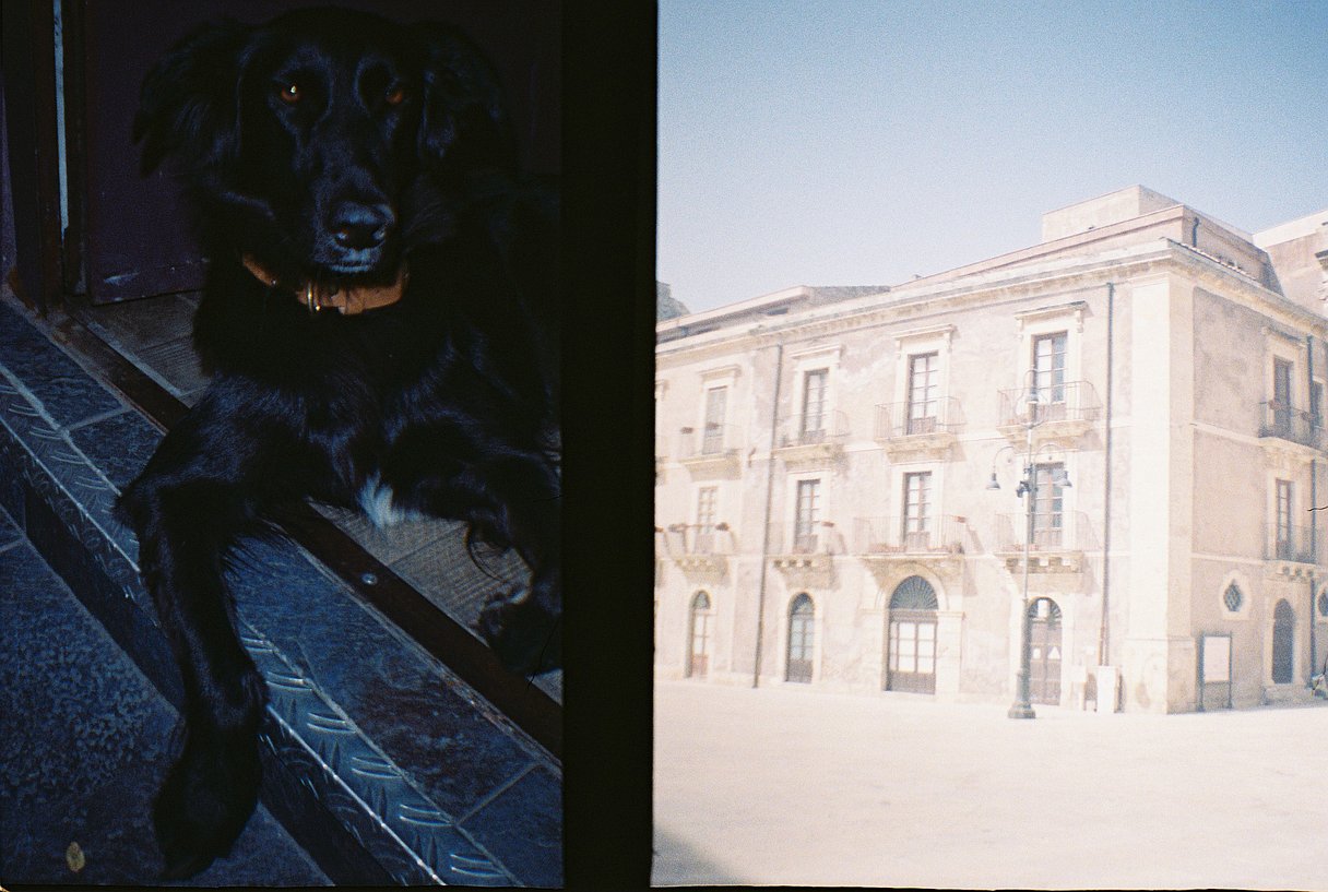 Community Gallery: Diptych Stories Through the Half-Frame · Lomography
