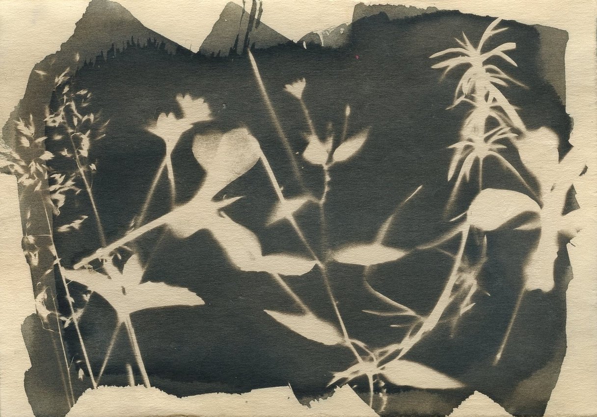 Tipster: Tinting and Staining Cyanotypes · Lomography