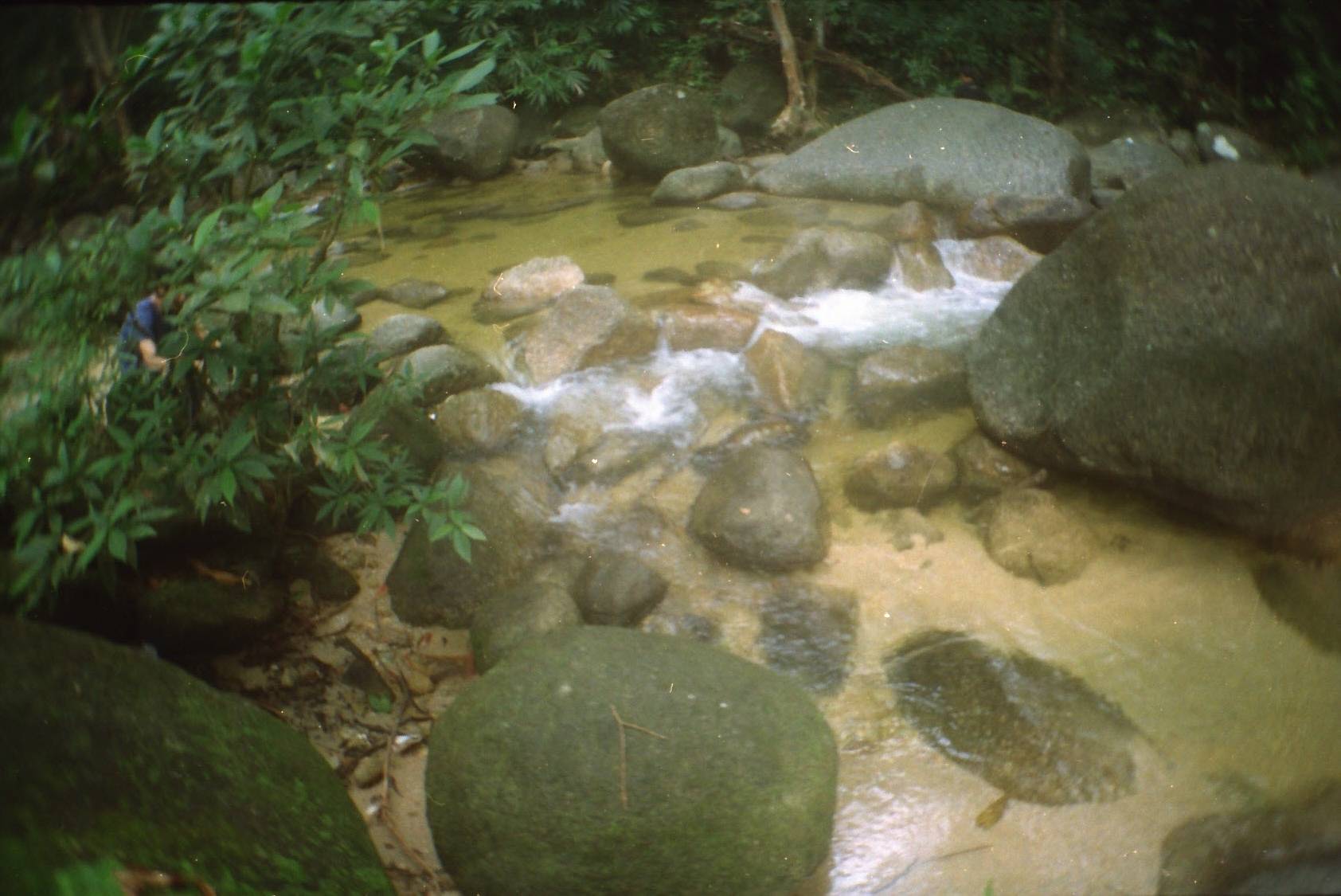 Ulu Chepor Waterfall Chemor, Perak · Lomography