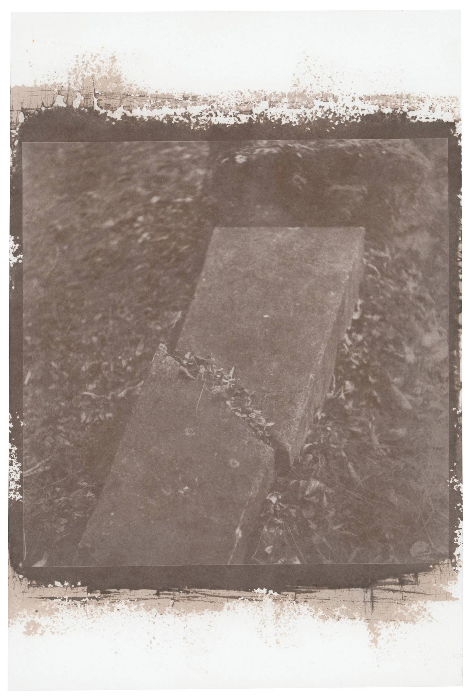 Alternative Printing Process: Salt Prints · Lomography