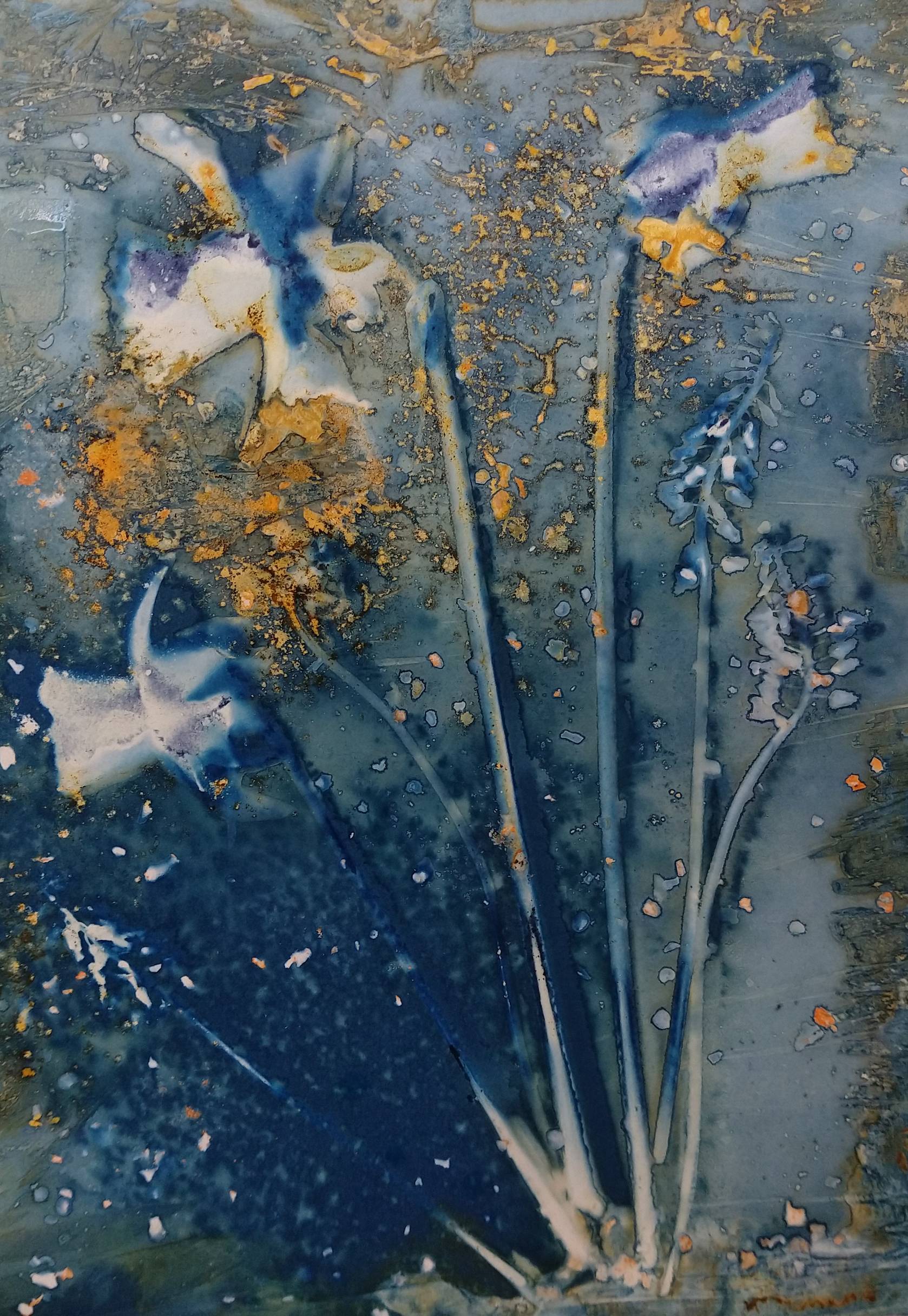 Speck of Stardust: Mandy Kerr’s Wet Cyanotypes · Lomography