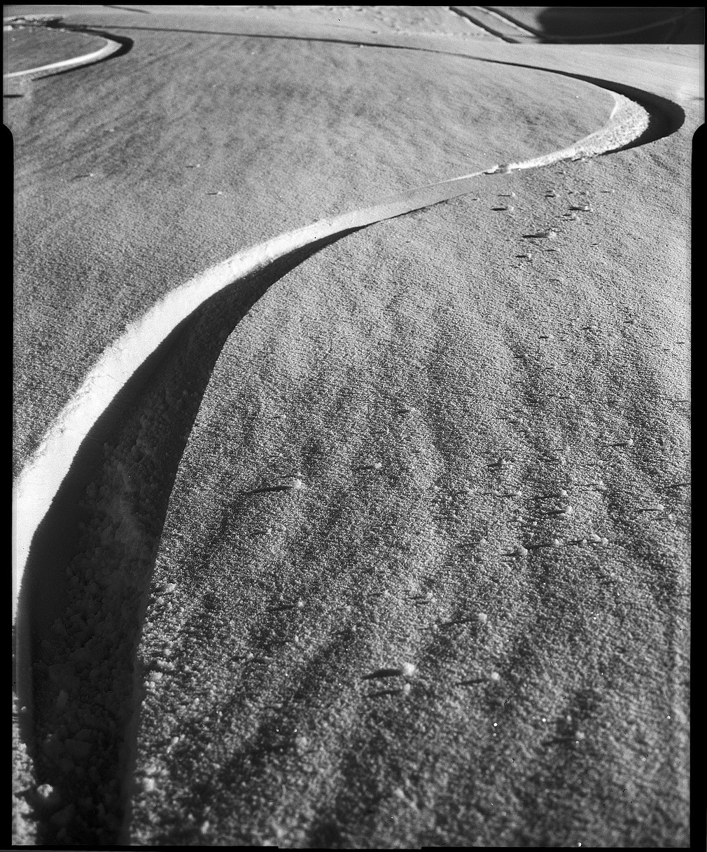 Trending Photos of January 2018 · Lomography