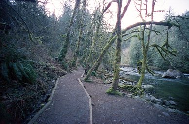 Film: Amber T800 · Lomography