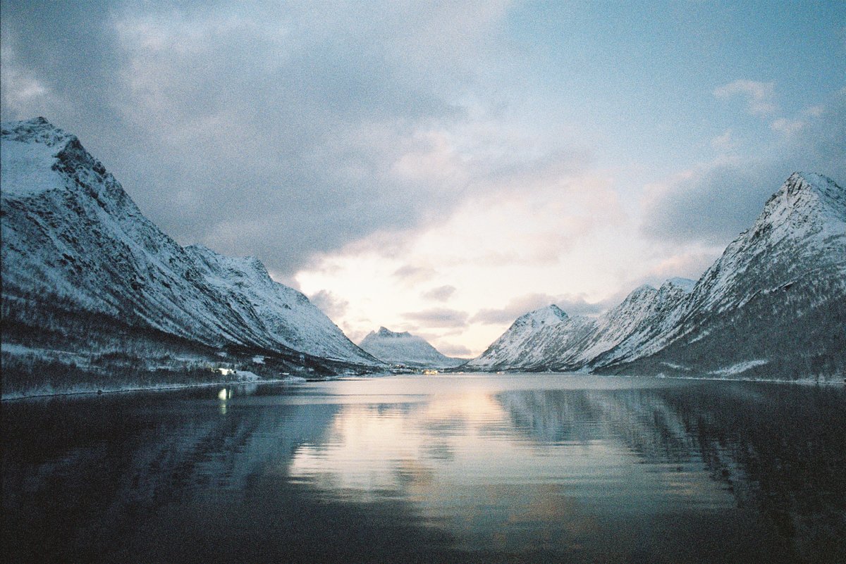 #23438864 — helena-costa · Lomography