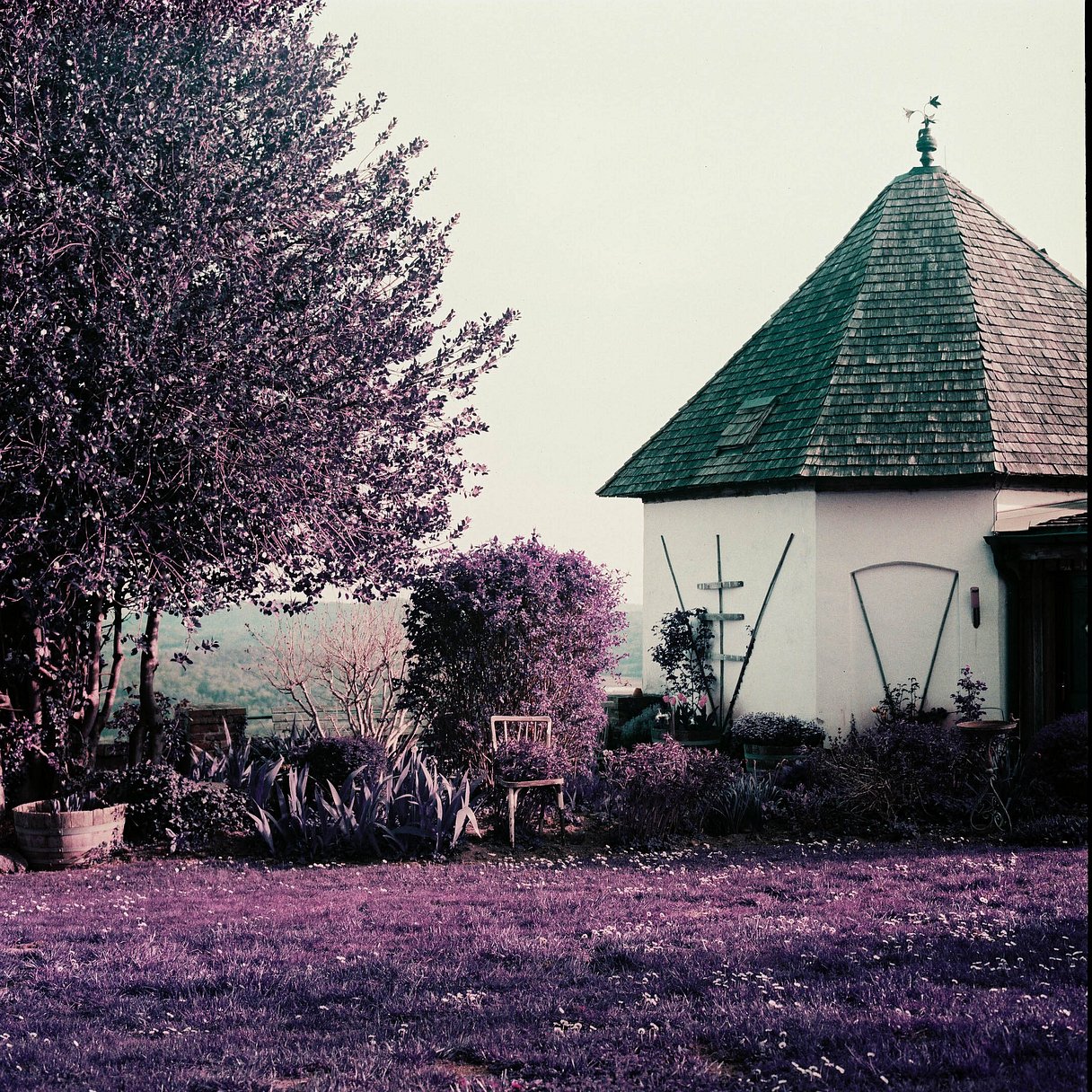 Understanding Film Format Sizes: Comparing 110, 35mm & · Lomography