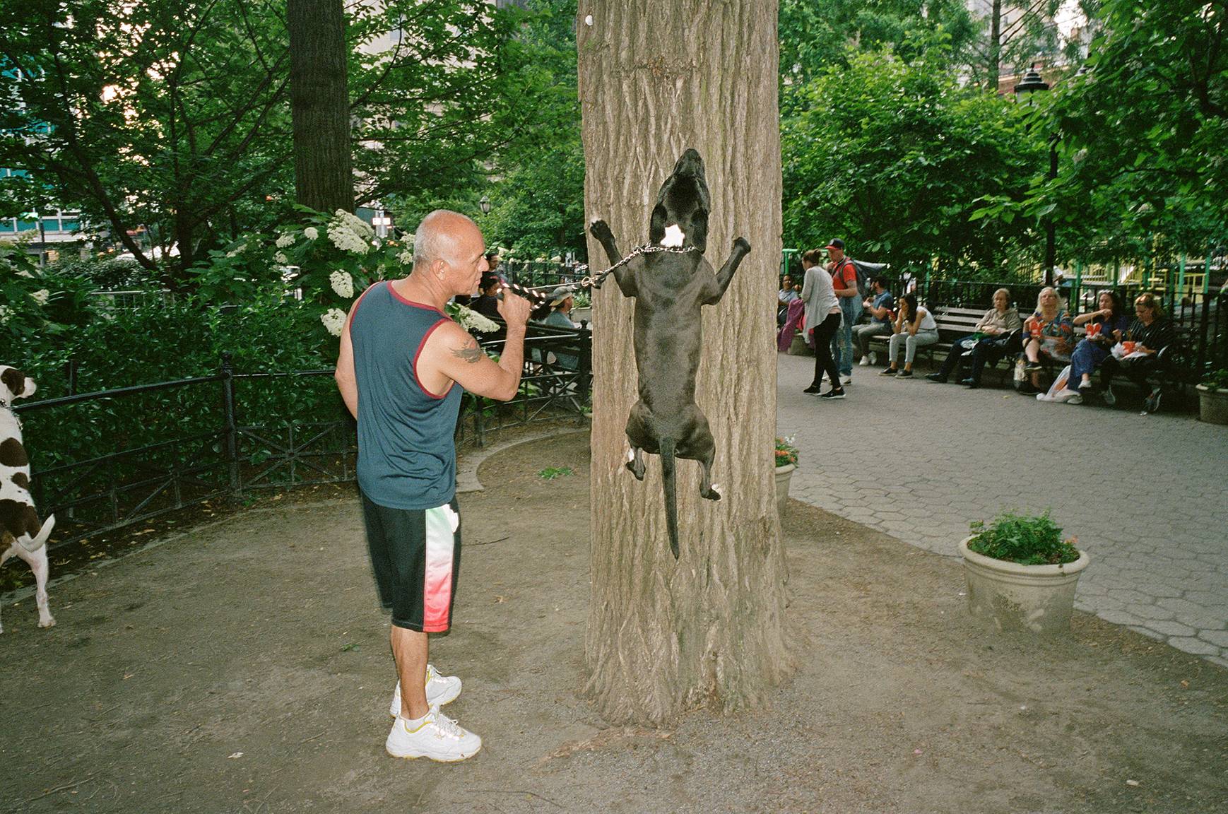 Dane Manary on Capturing the Transcience of Life · Lomography