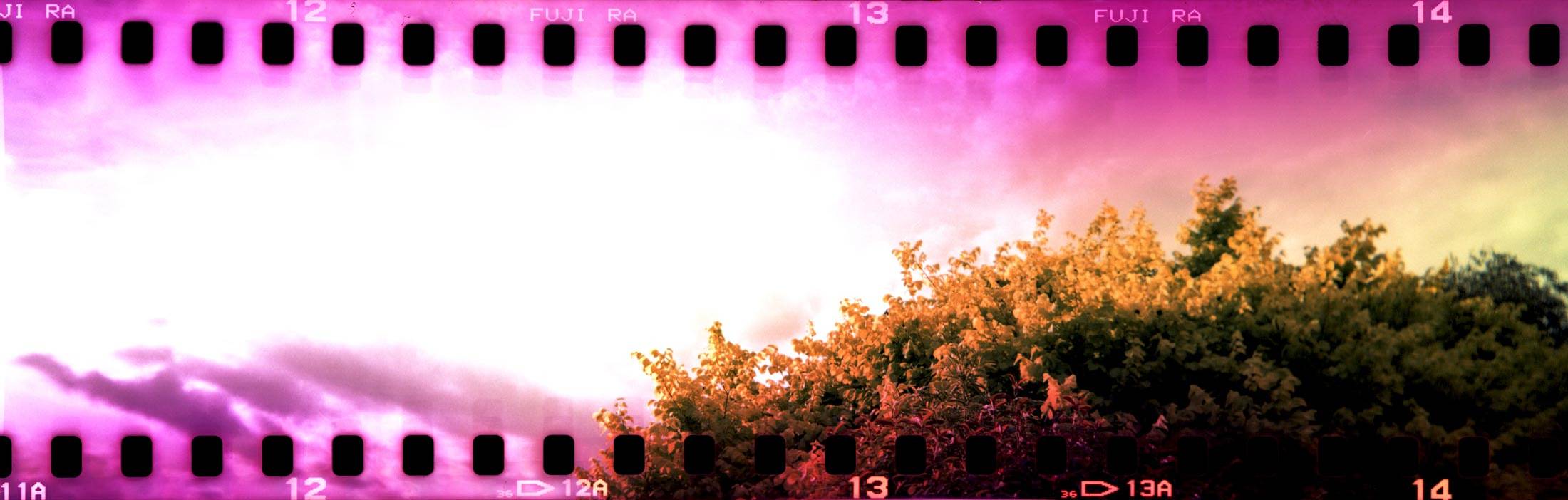 Holga 120 Pan: The Lightweight Panoramic Miracle · Lomography