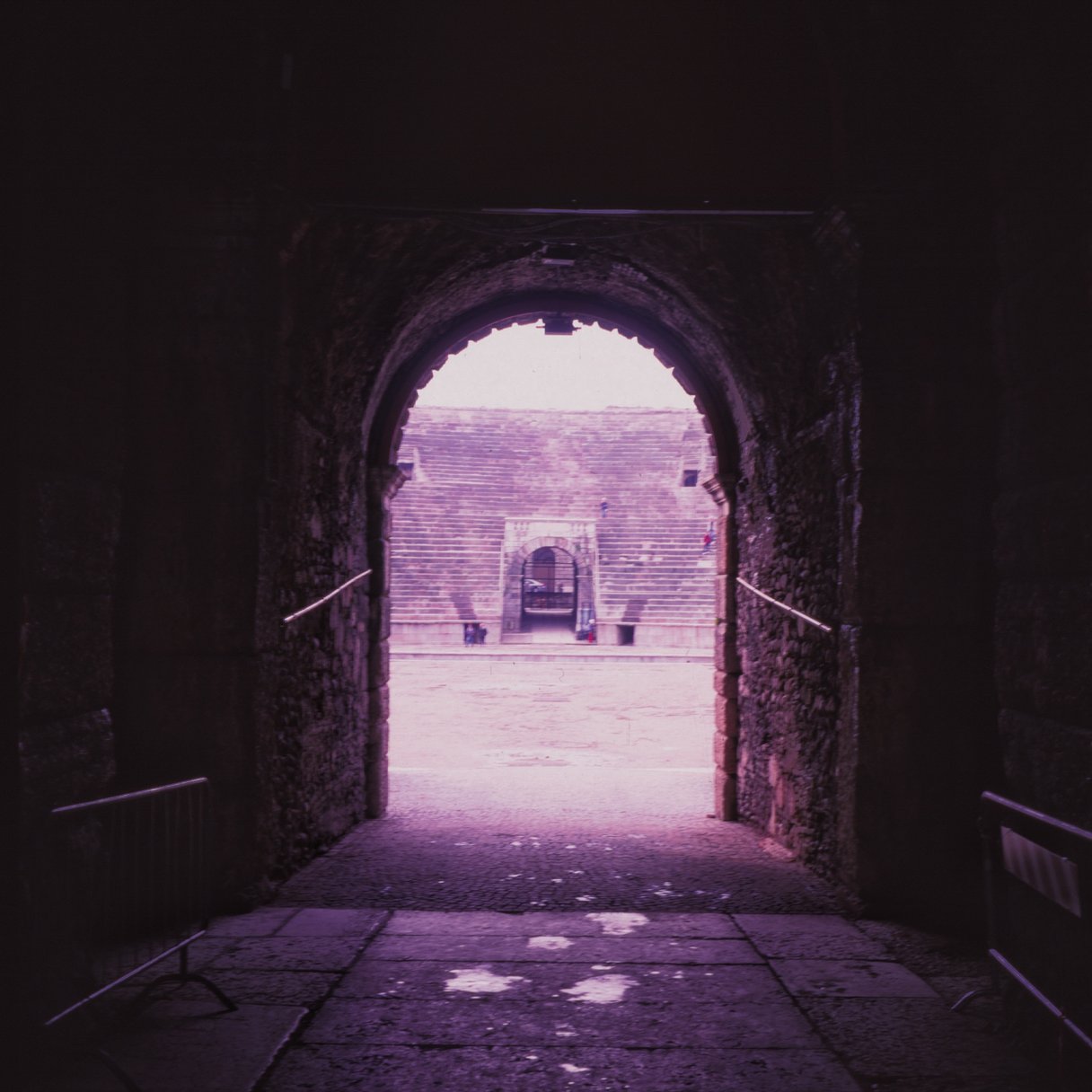 8 Intensely Luminous Slide Films for Lovers of Color · Lomography