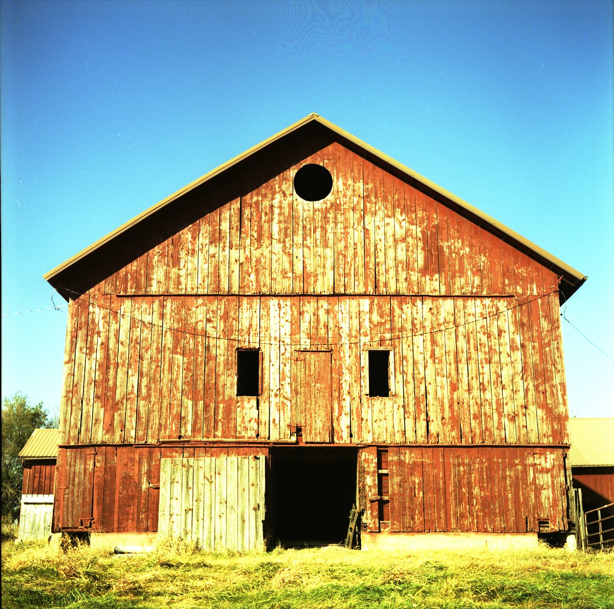 #12016849 — jared_j_frank · Lomography