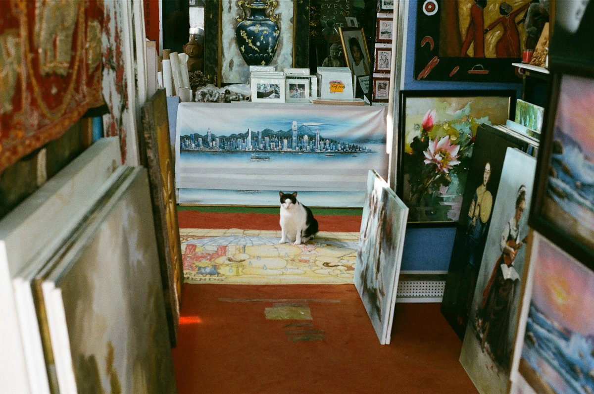 Painter — badkit · Lomography