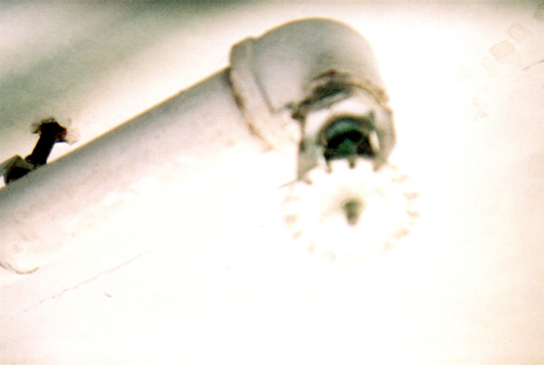 #12227580 — ggebhardt · Lomography