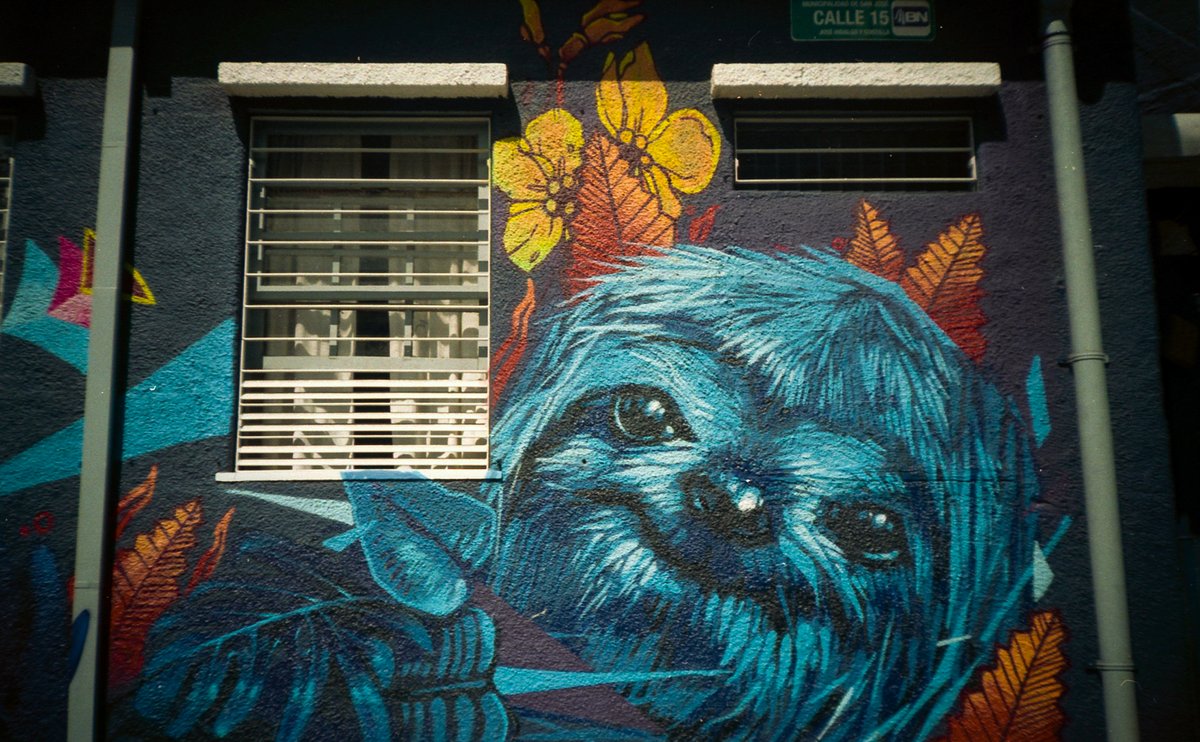 Graffiti art #1 — fabs44 · Lomography