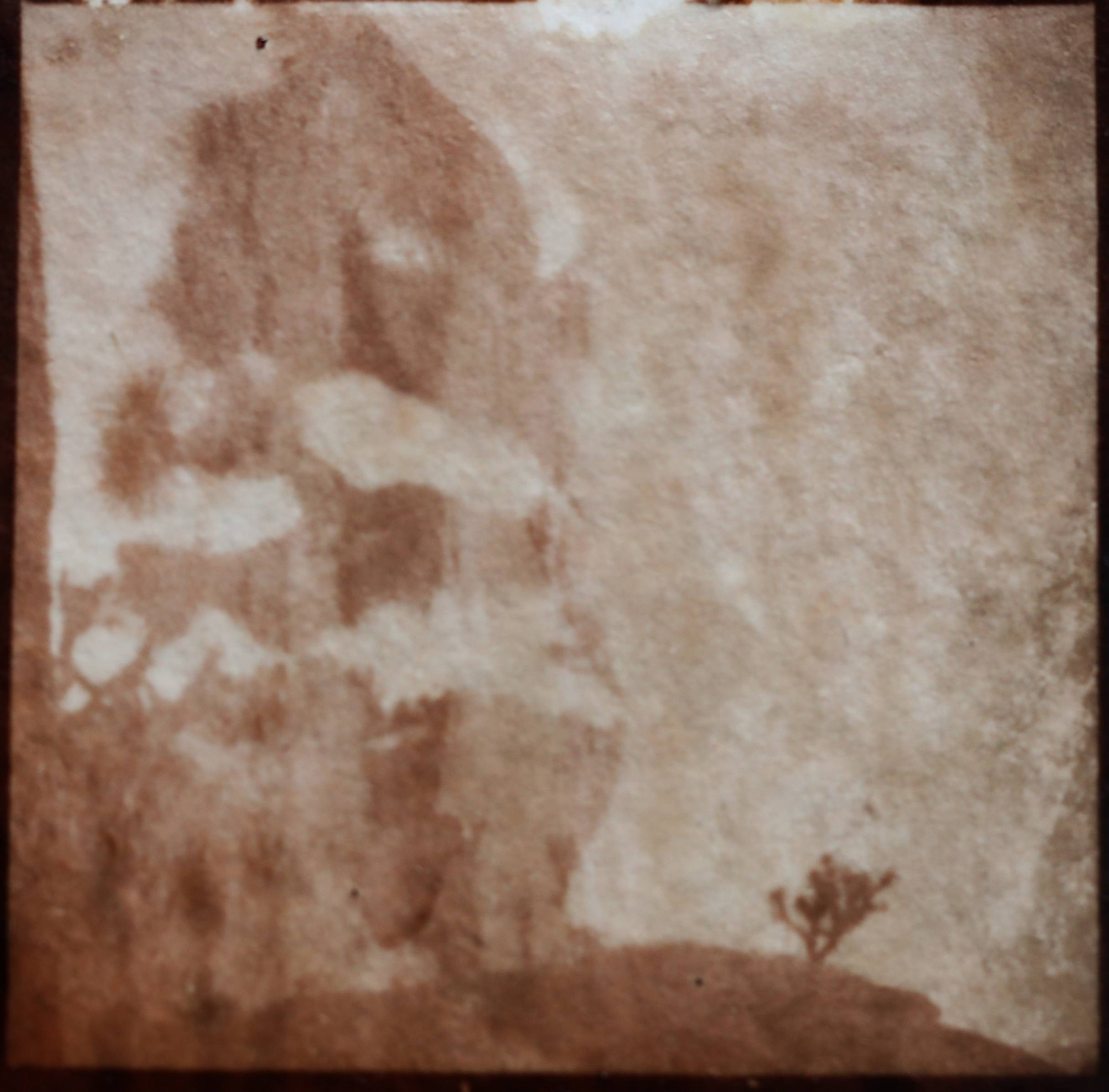 Alternative Printing Process: Albumen Print · Lomography