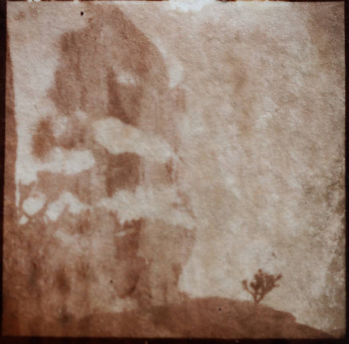 Alternative Printing Process: Albumen Print · Lomography