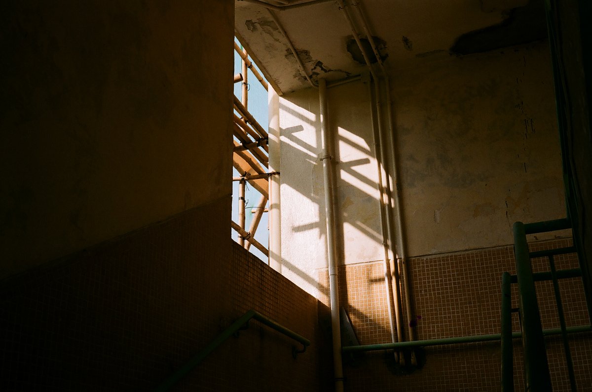 #24158572 — badkit · Lomography