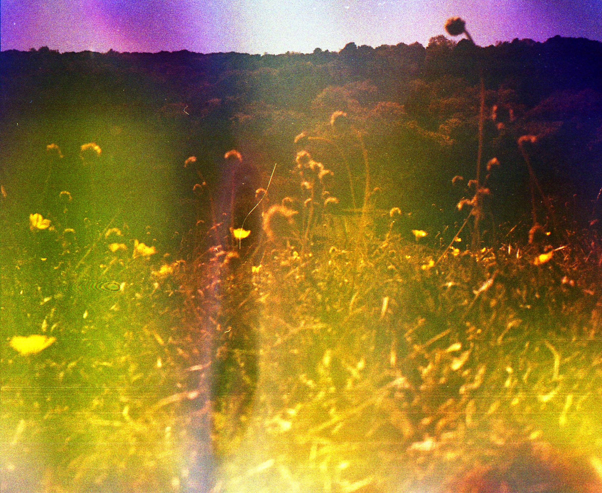 Destroying Film to Play with Color · Lomography