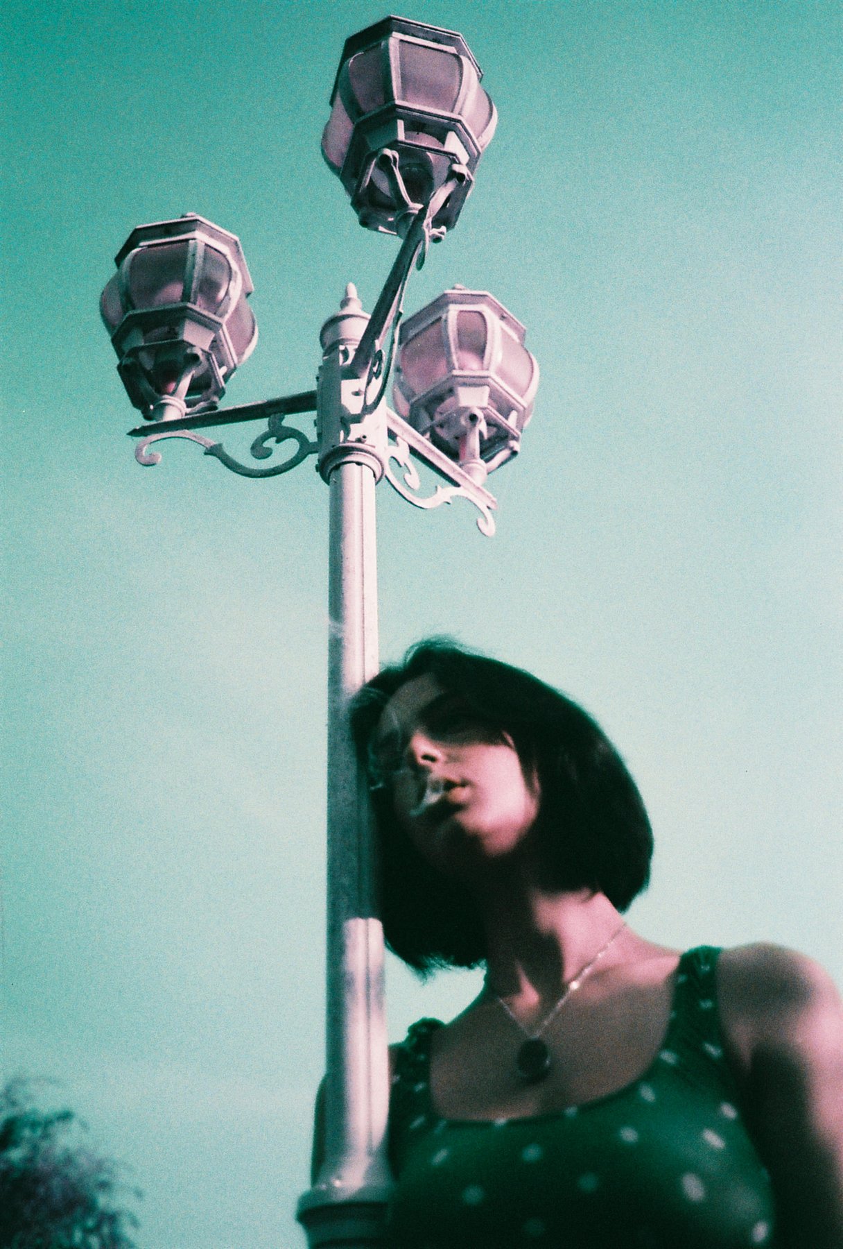 Purple Owlo — deftom · Lomography
