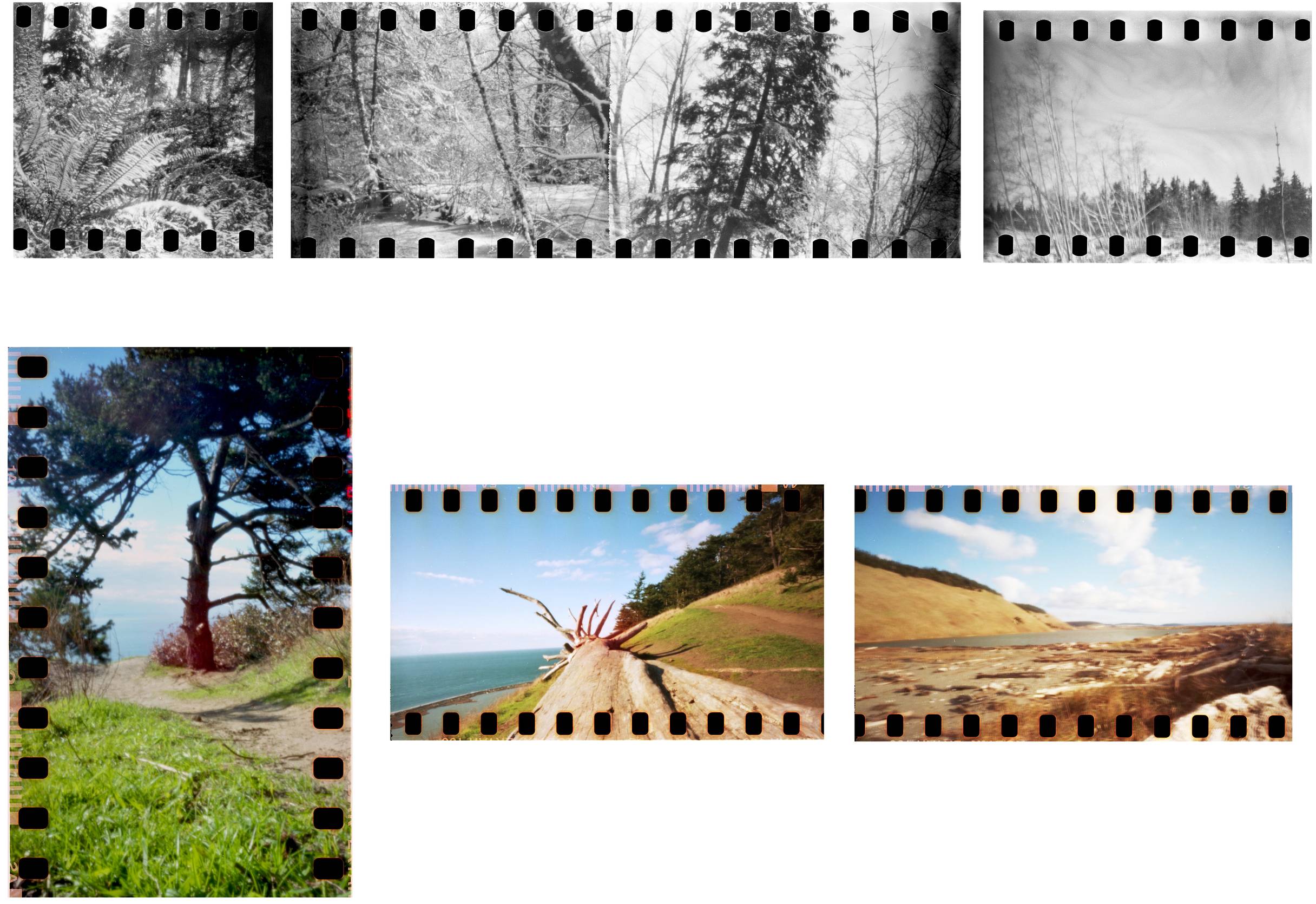 Further Explorations On Pinhole Cameras · Lomography