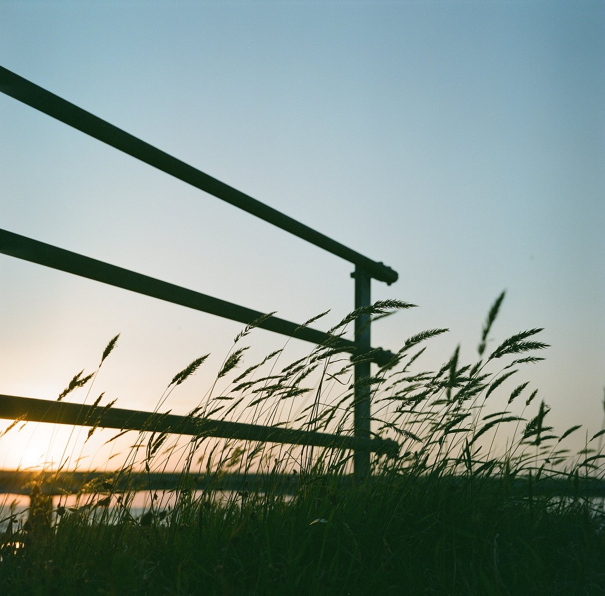 #24242312 — deafness · Lomography