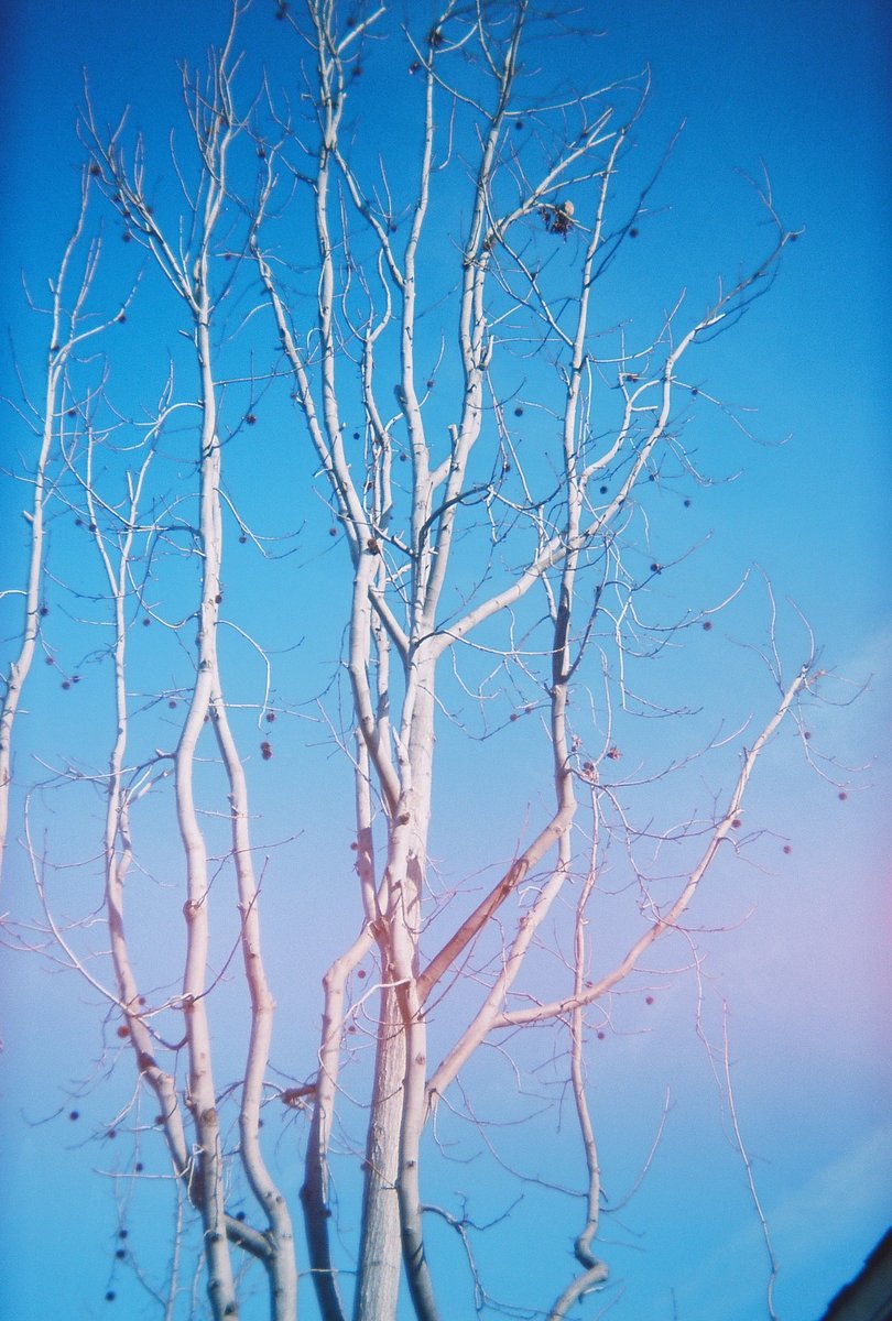 #11074382 — stark-imageries · Lomography