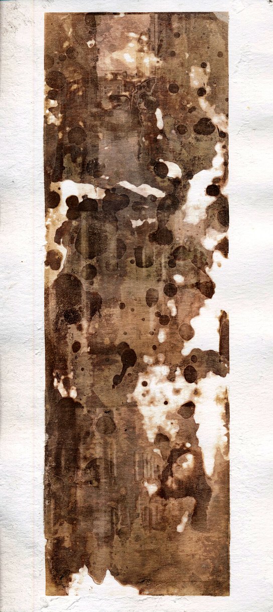 Alternative Printing Process: Albumen Print · Lomography