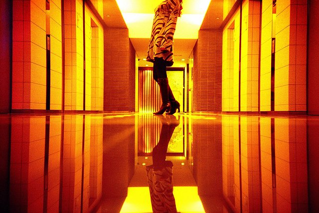 Rat's Eye View · Lomography