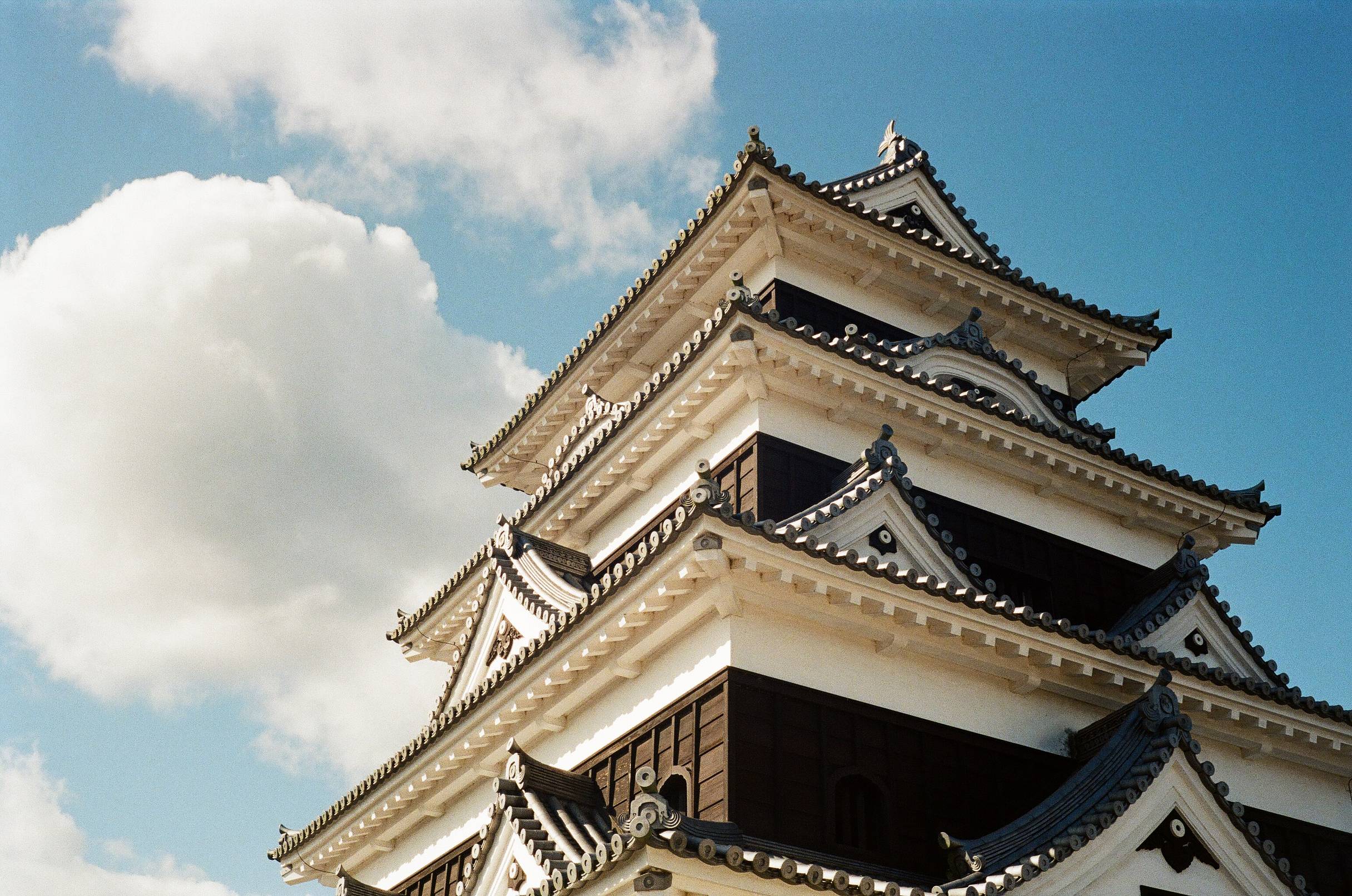 #24241118 — badkit · Lomography