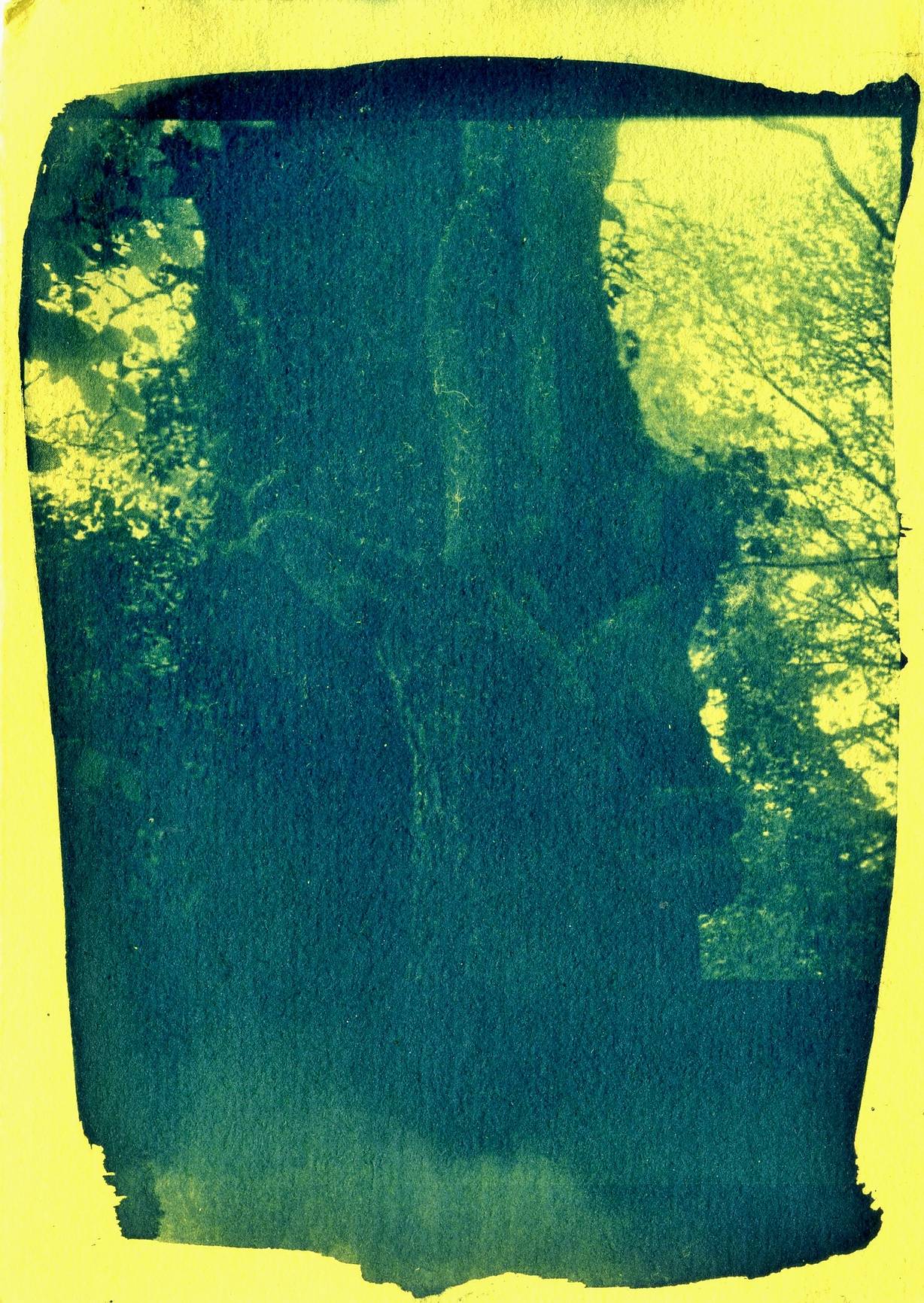 Tipster: Tinting and Staining Cyanotypes · Lomography
