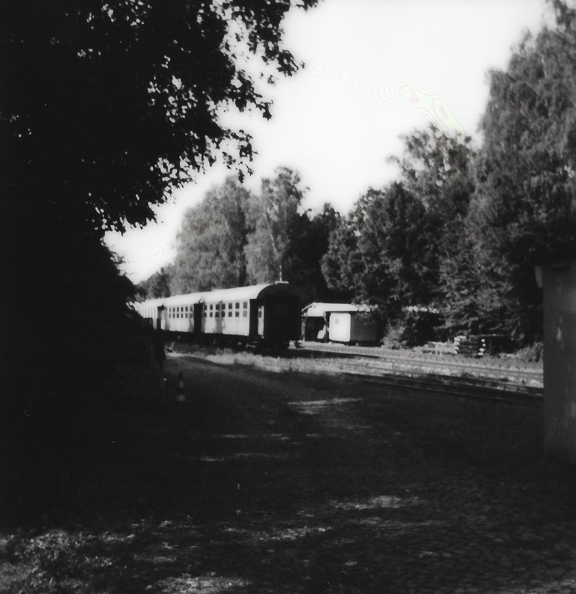 #27580342 — flanders · Lomography