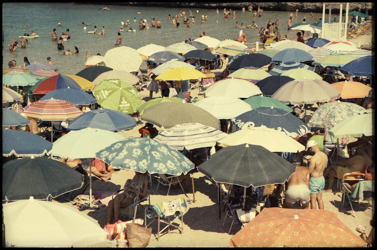 #29136709 — ilcontrariodime_ · Lomography