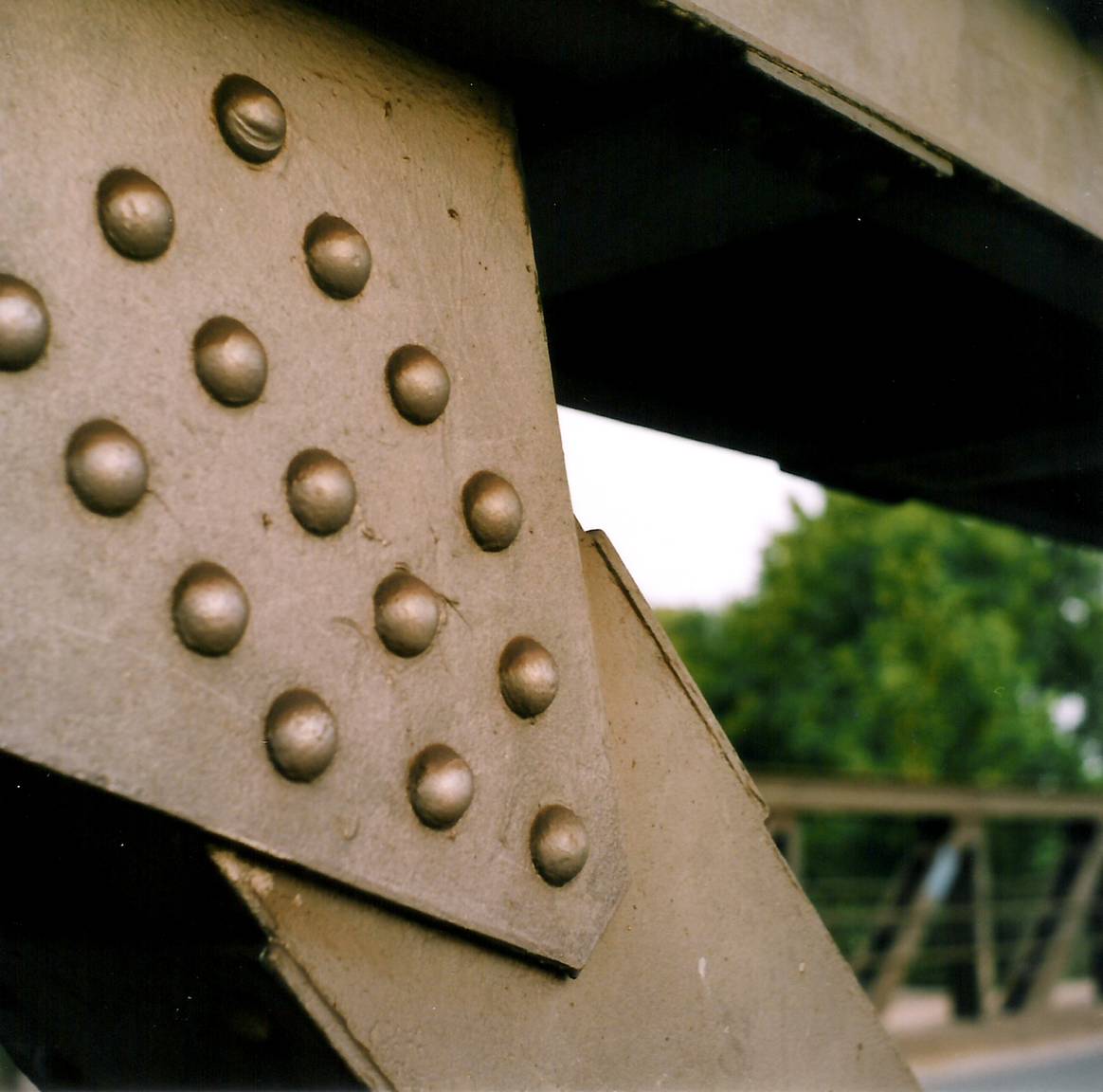 Seagull 4A-103: Two-Eyed Bird · Lomography