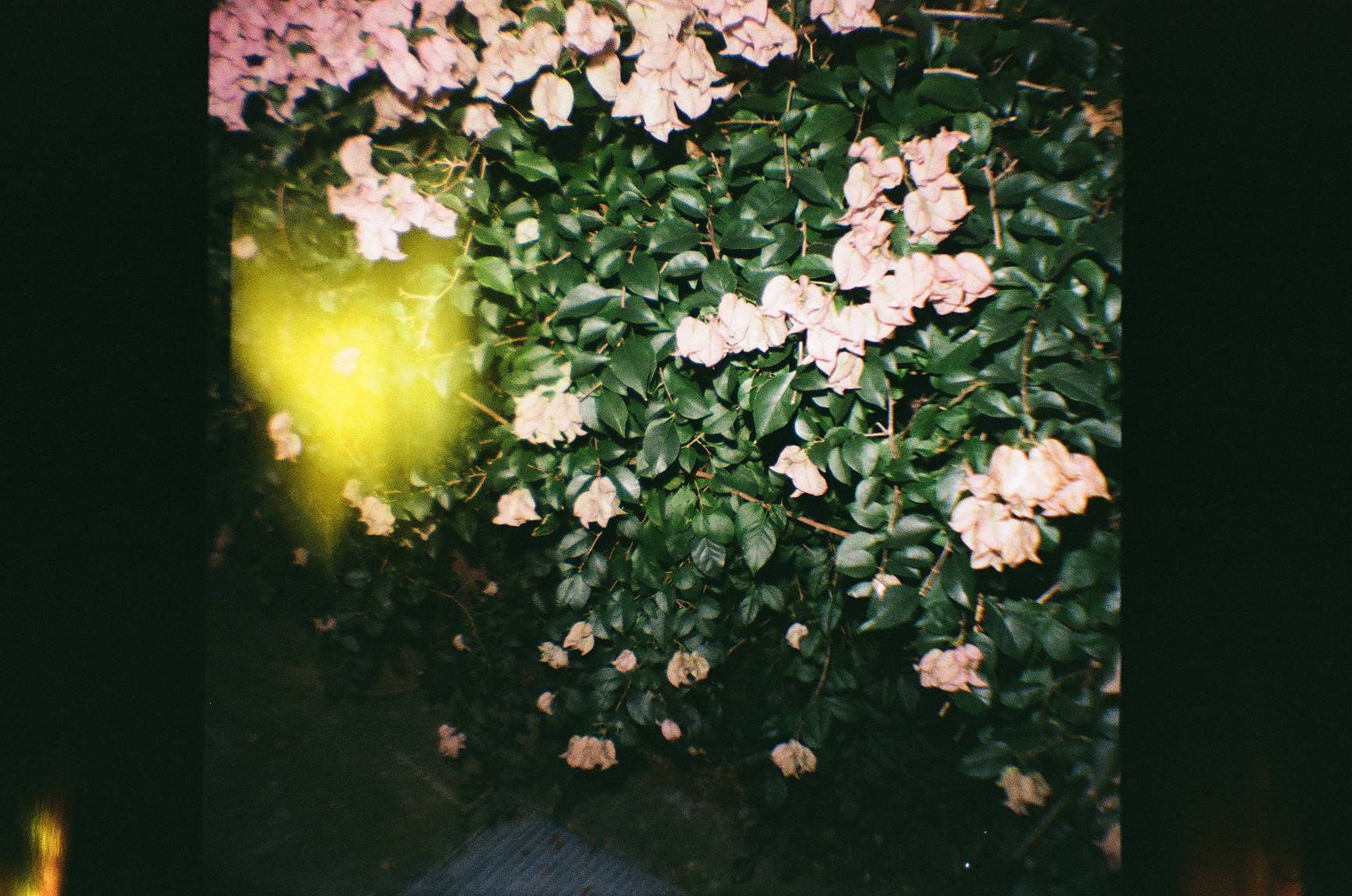 【Diana Mini 35mm 菲林相機】菲林愛好者 Belle 帶着 Diana 窺探夢幻性感的變裝派對 · Lomography