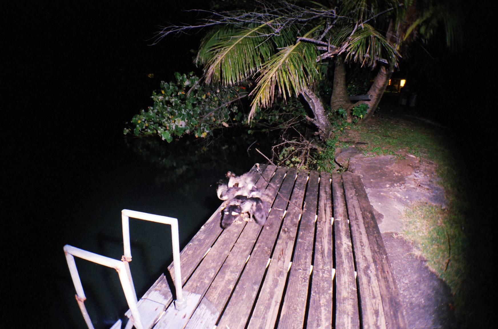 Nightlife in Raiatea??? · Lomography