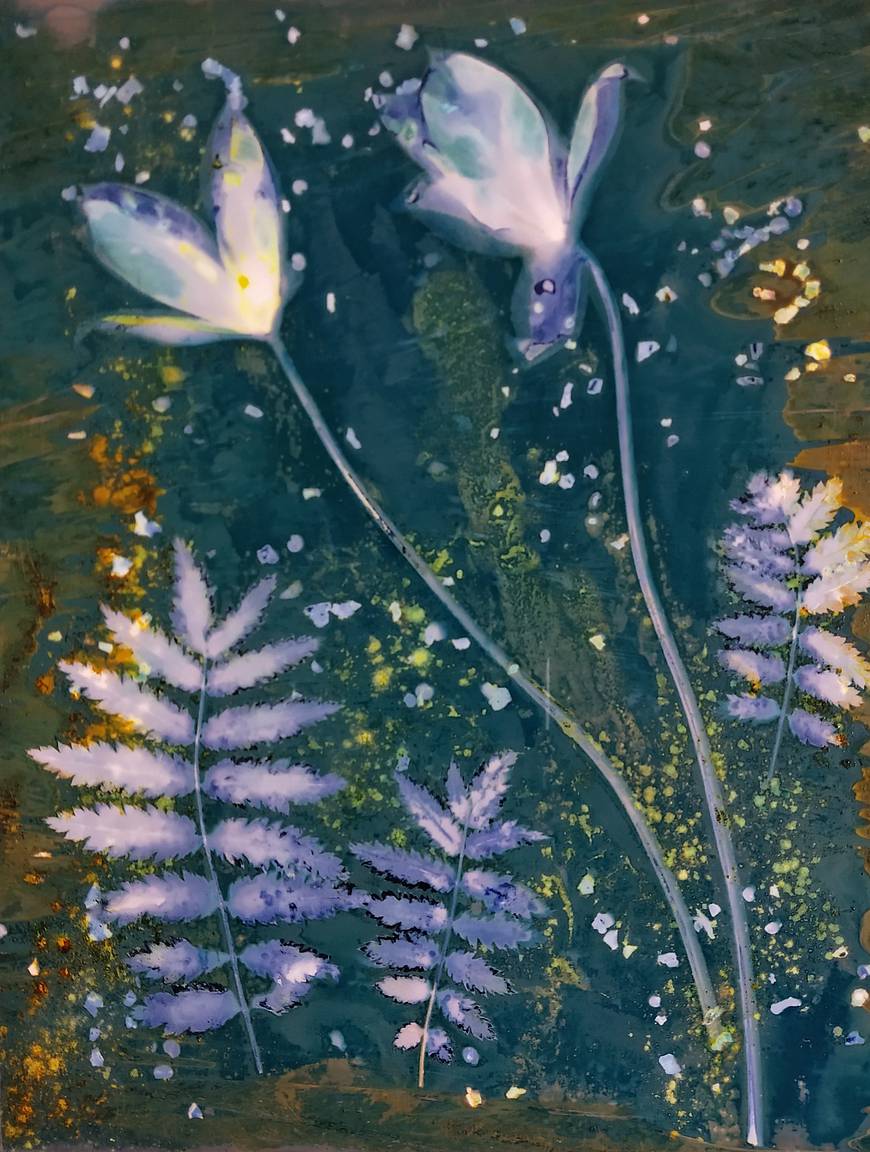 Speck of Stardust: Mandy Kerr’s Wet Cyanotypes · Lomography