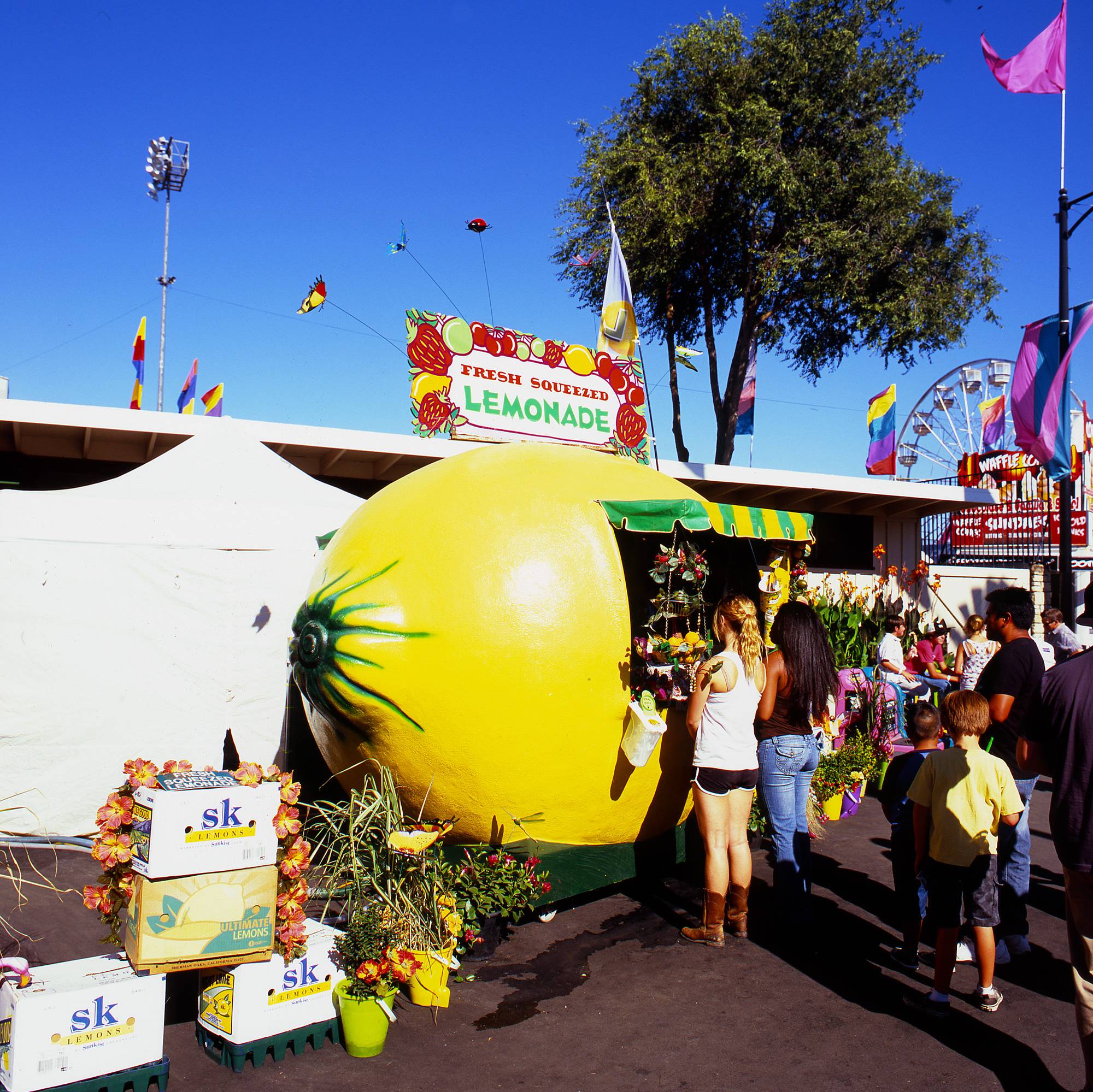 The Shooting Gallery: Tips for Great Carnival Shots · Lomography