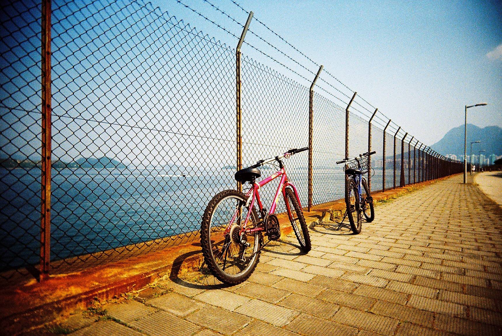 11 Beloved Toy Cameras · Lomography