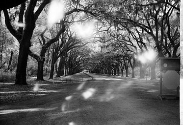 Camera: Universal Roamer II · Lomography