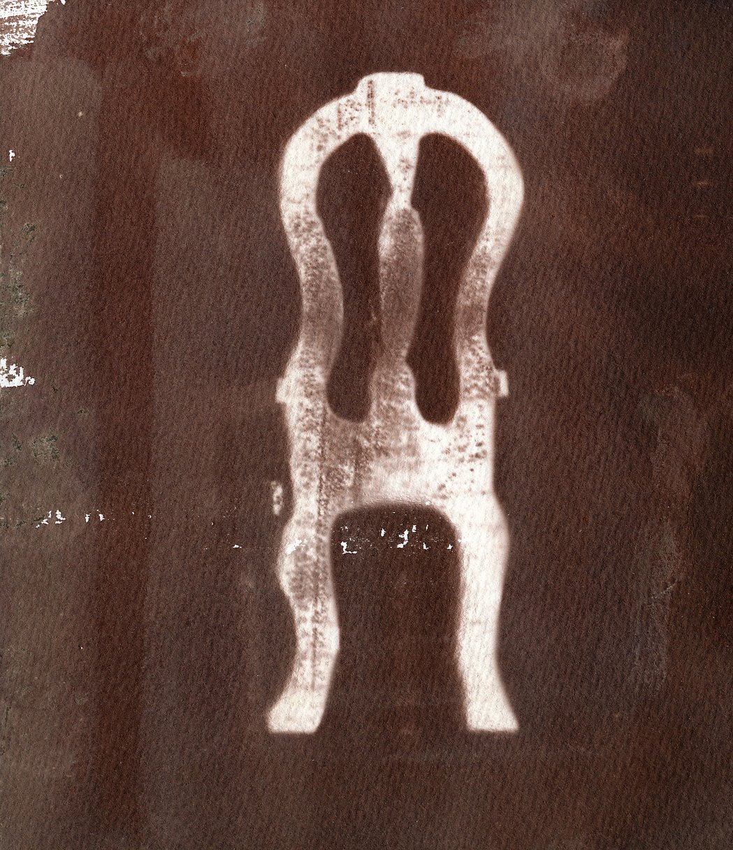Alternative Processes: How to Make Salt Prints · Lomography
