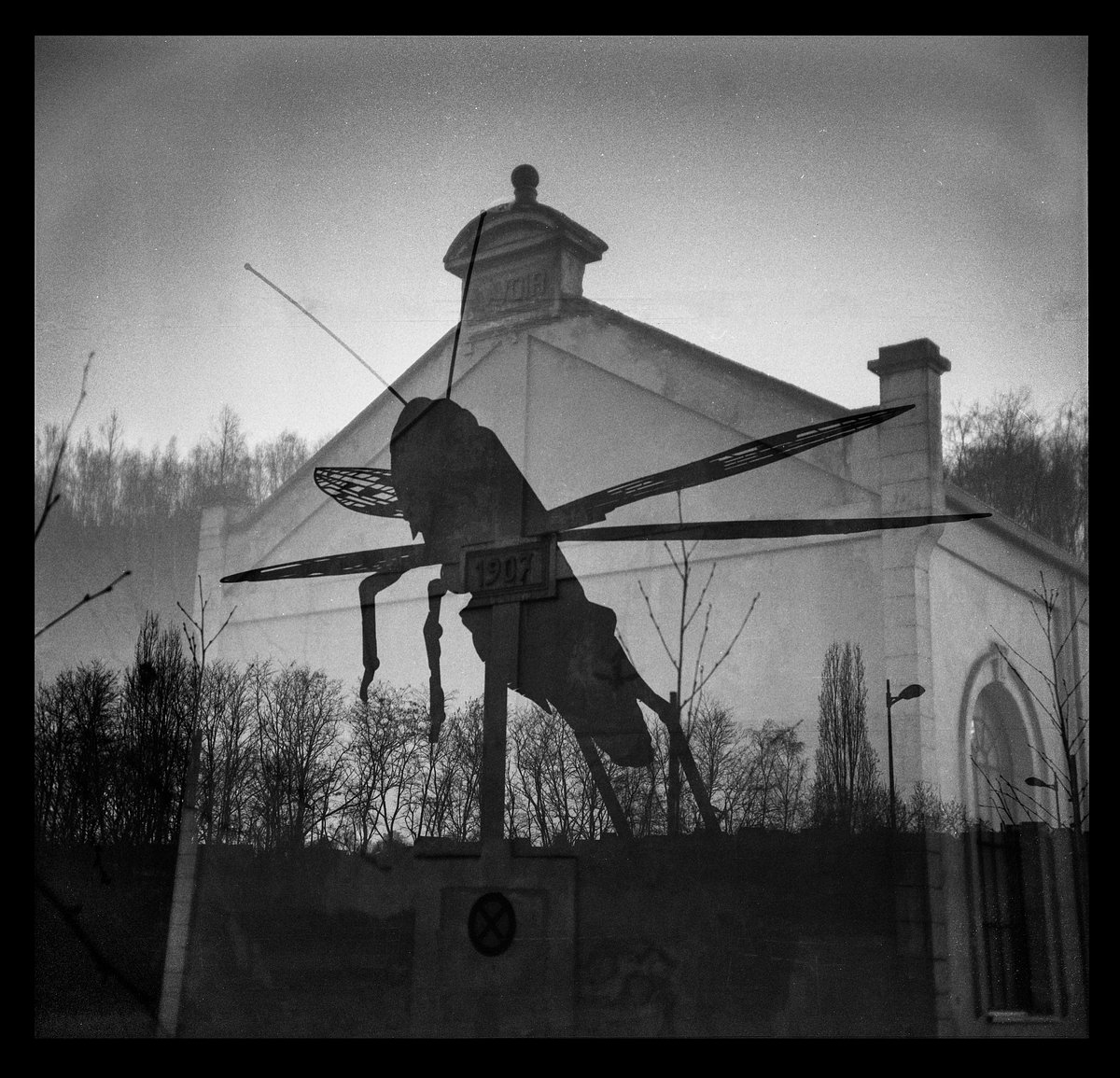 #23674509 — narky · Lomography