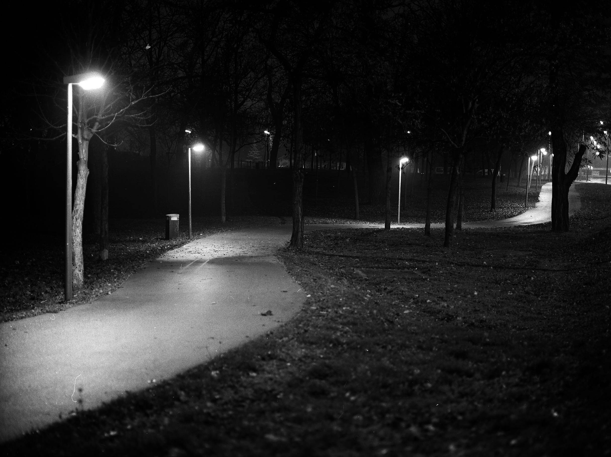 Long Exposure Tips and Painting with Light · Lomography