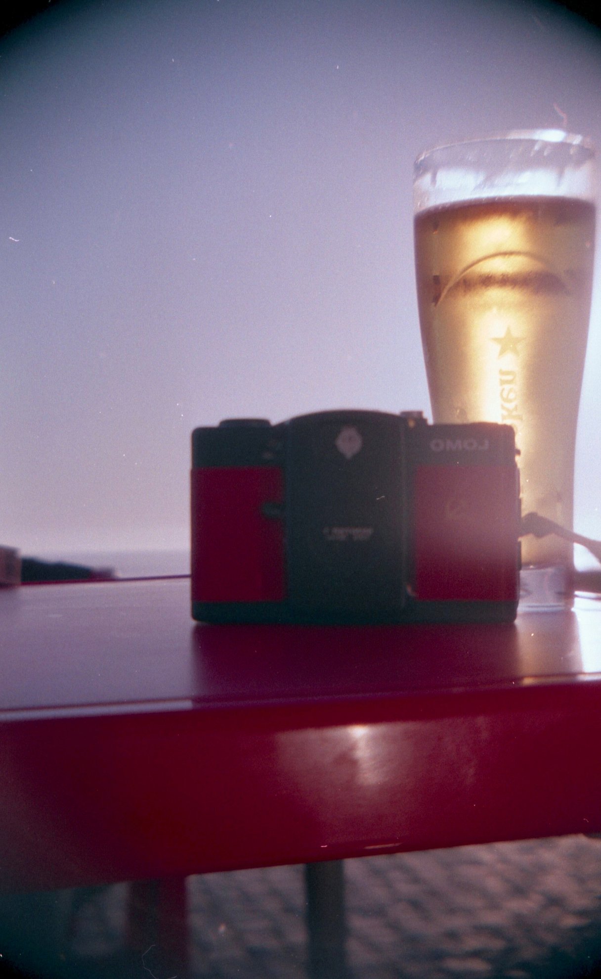 Testing Ferrania Solaris and Recesky TLR — sprofishgel · Lomography