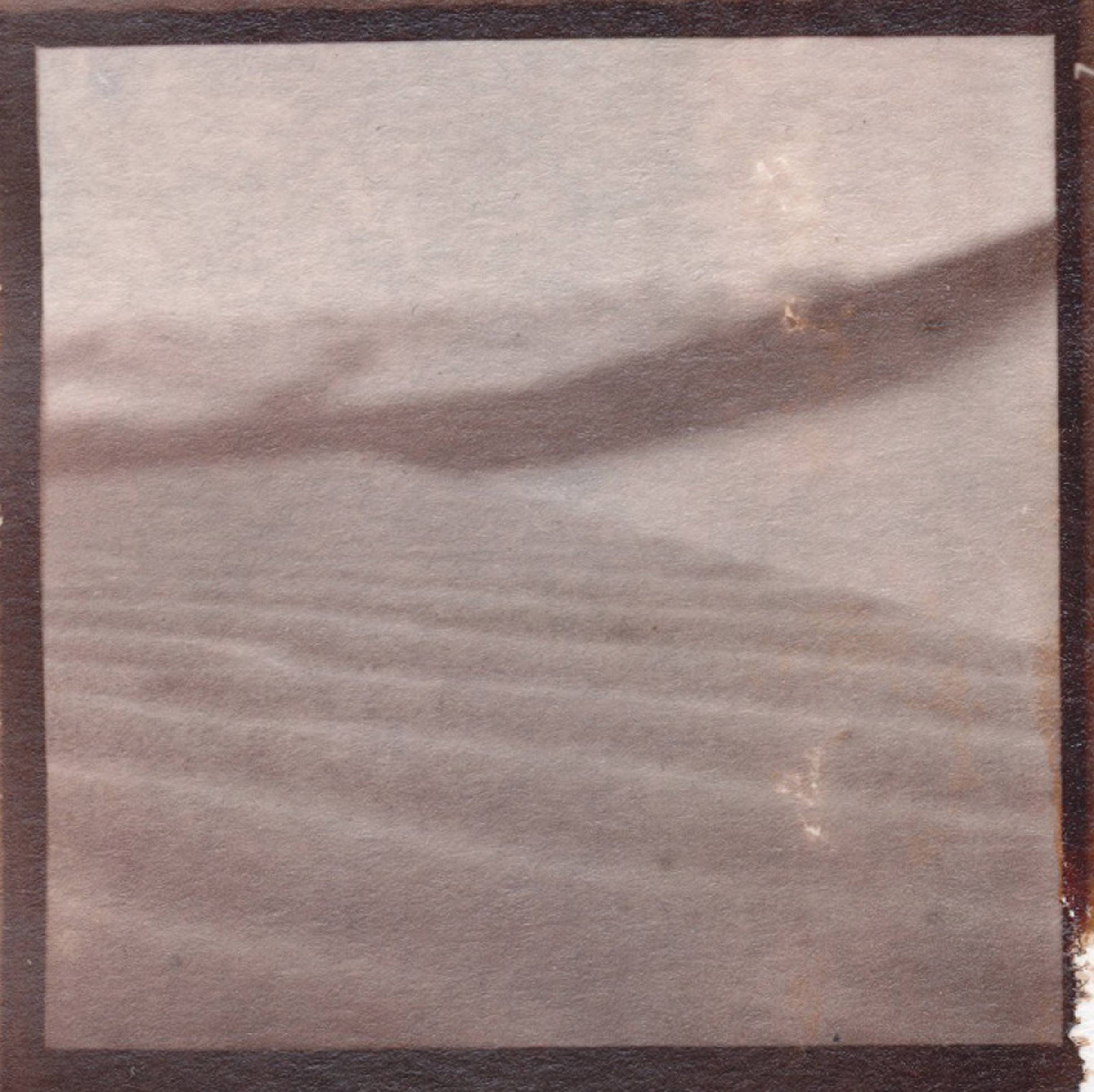 Alternative Printing Process: Albumen Print · Lomography
