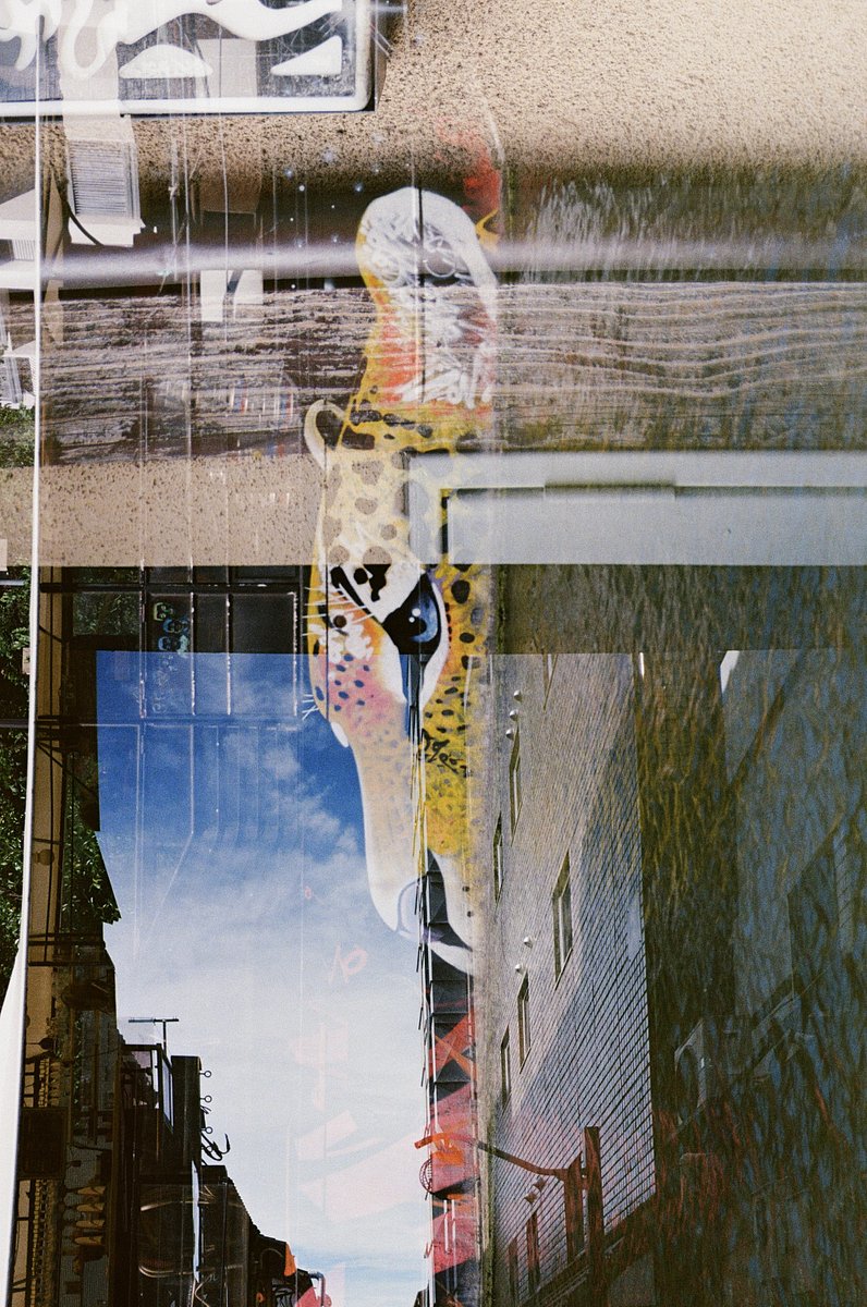 Swap with THE ROVER in color(France↔︎Japan) — yokosima · Lomography
