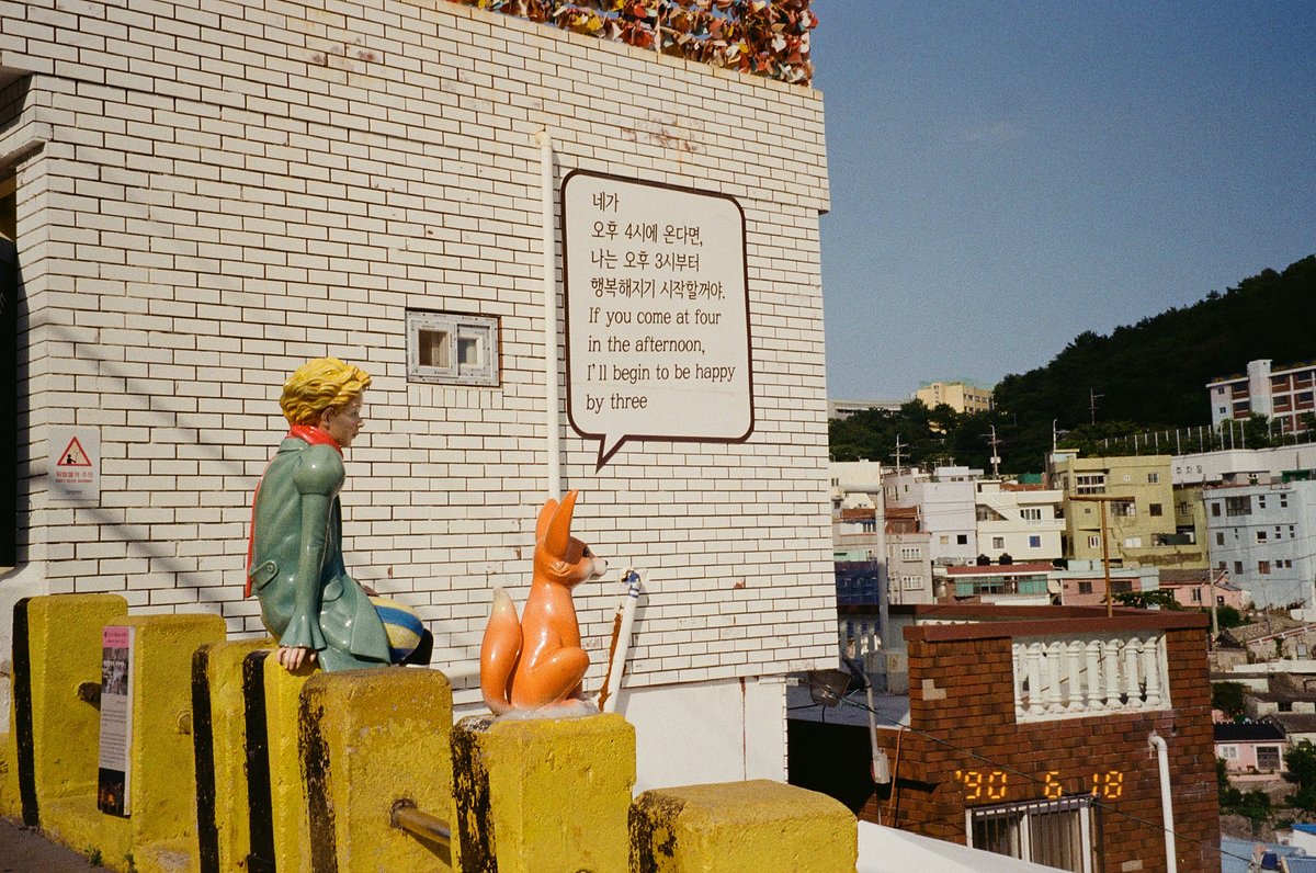 korea 2022 — nokcha · Lomography