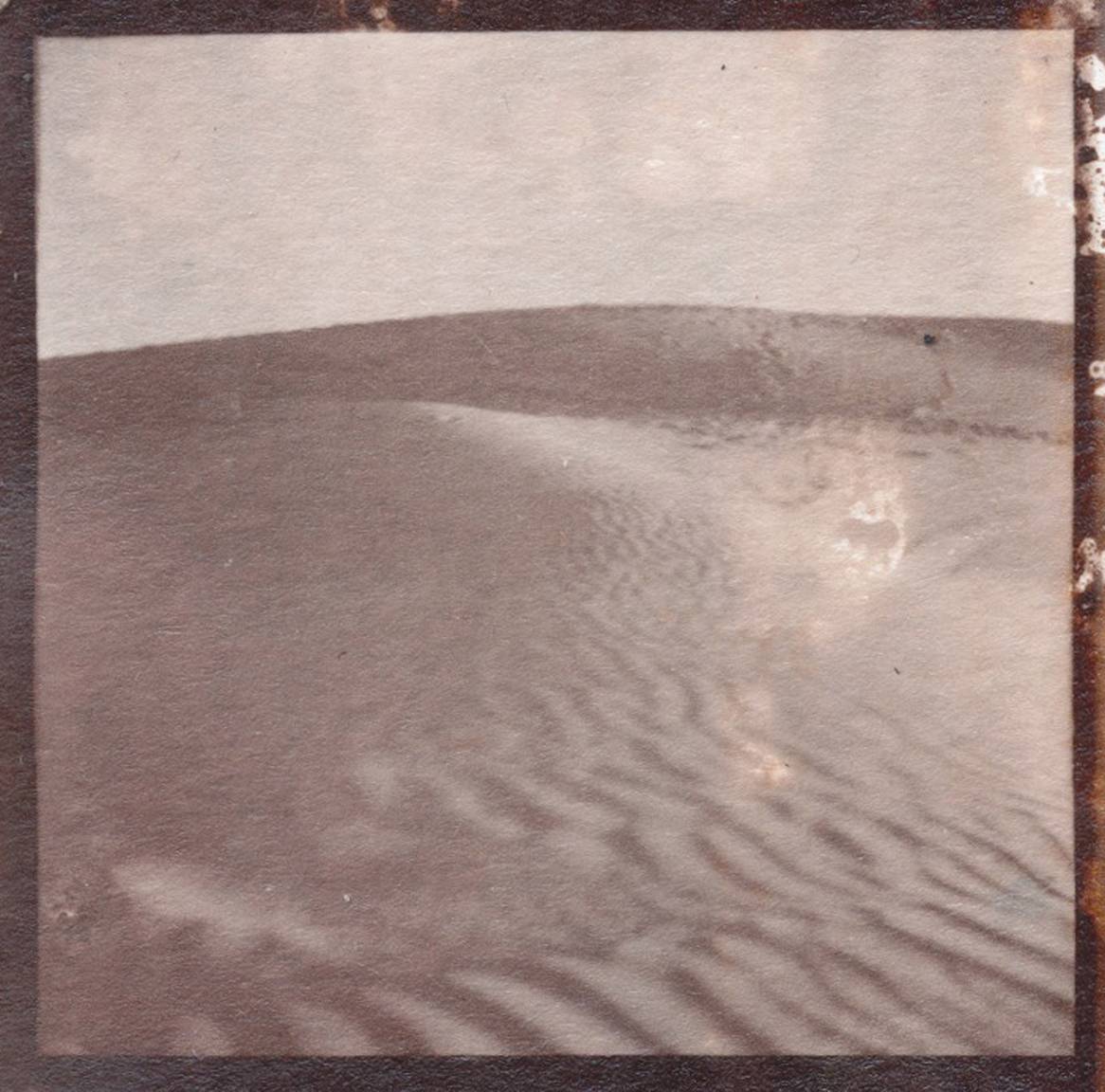 Alternative Printing Process: Albumen Print · Lomography