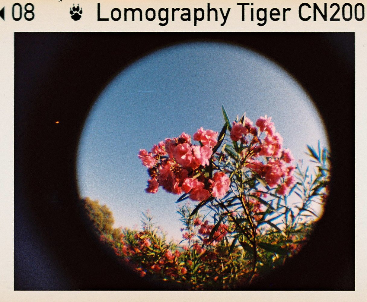 110 Reasons To Shoot 110 Film Format · Lomography