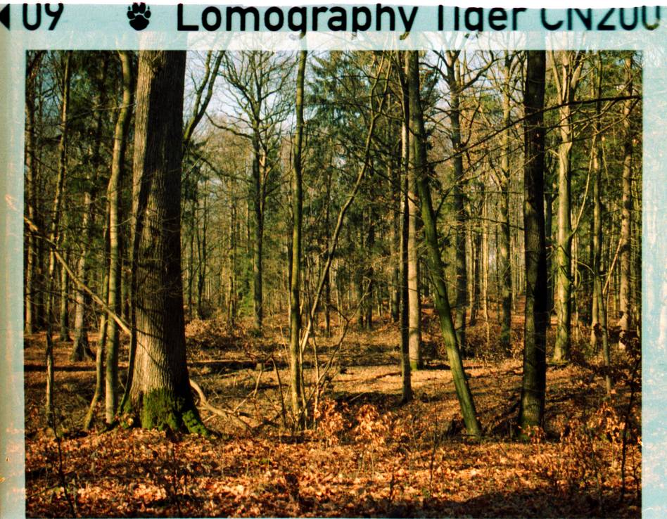 How to scan 110 film at home? · Lomography