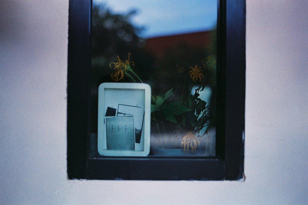#26411756 — modern_nmt · Lomography