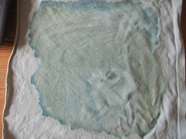 Tipster: Tinting and Staining Cyanotypes · Lomography